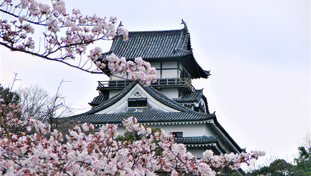 春桜めぐり ~木曽川河川敷~犬山城からツインアーチ138タワー 春桜めぐり ~木曽川河川敷~犬山城からツインアーチ138タワー